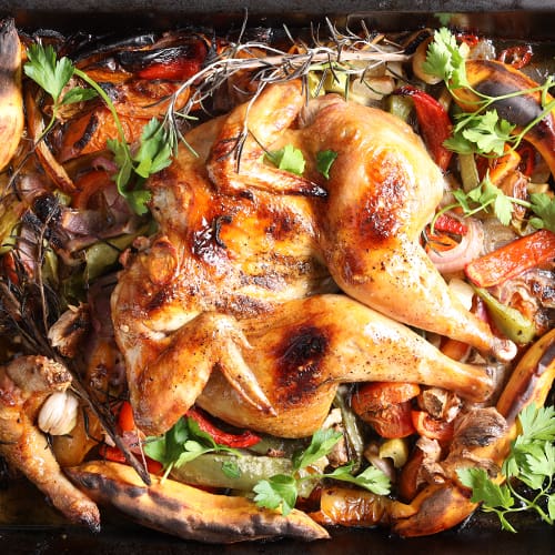 לולו - תרנגולת חופש גלילית