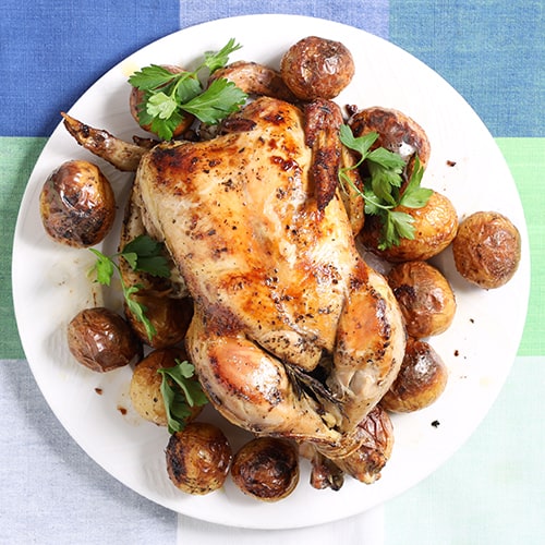 לולו - תרנגולת חופש גלילית